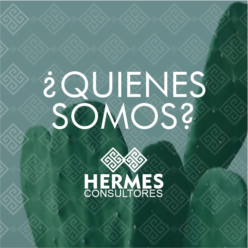 Quienes Somos